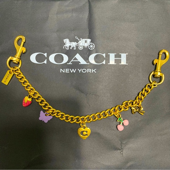 Coach | Bags | Coach Swagger Gold Chain | Poshmark